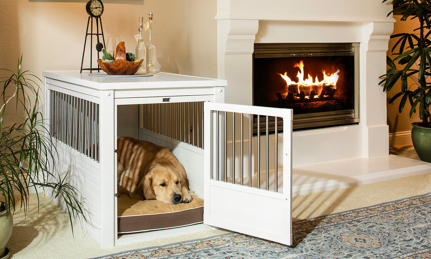 Building a Calming Den with ECOFLEX – NewAgePet