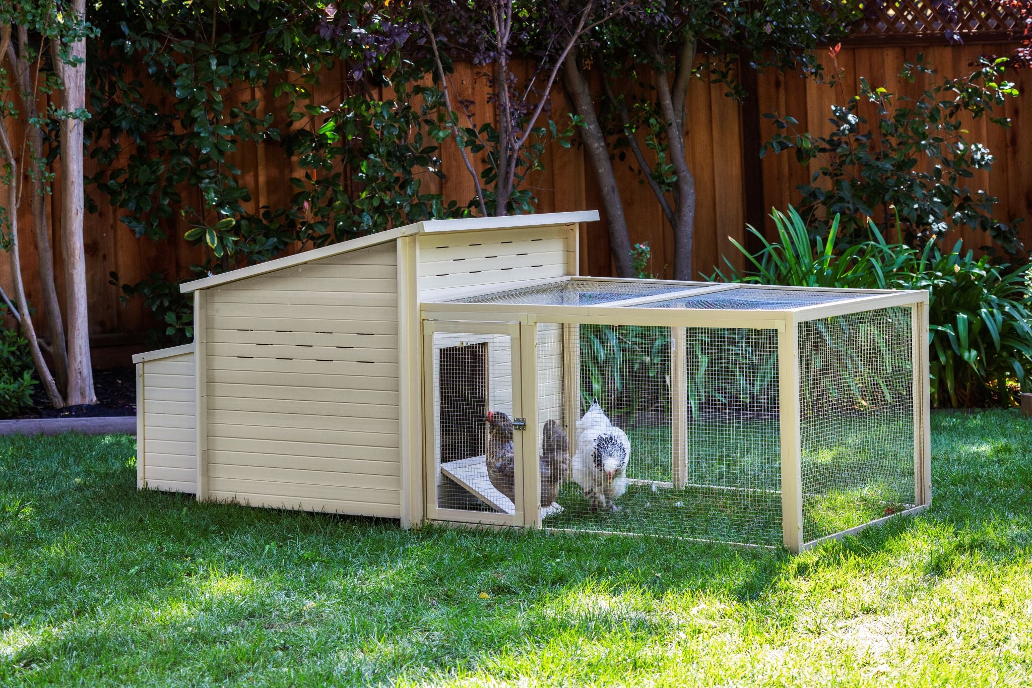 Chicken – NewAgePet